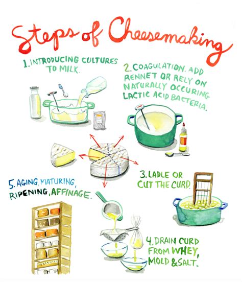 Cheese 101 Learn Everything You Need To Know About Cheese