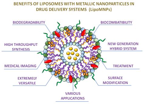 Ijms Free Full Text The Combination Of Liposomes And Metallic Nanoparticles As