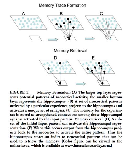 Hopfield Nets And The Brain In This Article We Will Be Discussing By Serban Liviu Medium