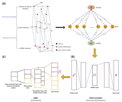 Mda Cnn：基于学习的神经网络 Mirna 疾病关联识别框架（bioinformatics）mda与神经网络 Csdn博客