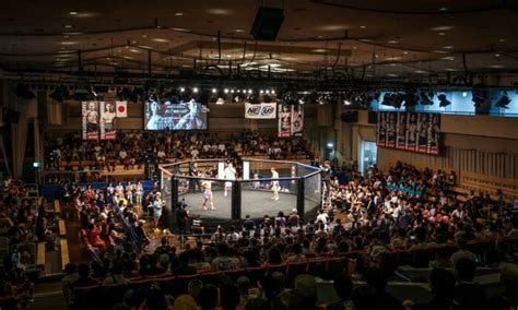 Fighting Nexus L ファイティングネクサス【公式】 Fighting Nexus Official Web Site