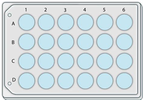 Choosing The Right Well Plate Format For Your Research