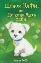 Библиотека — Свердловская областная Библиотека для детей и молодежи им ...