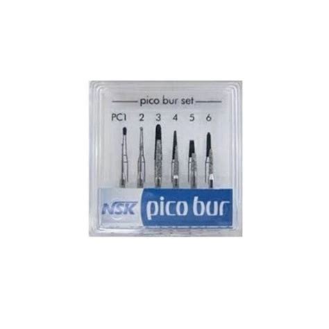 Pico Assorted Bur Box Set Of 6 Y1001816 Confident Sales India