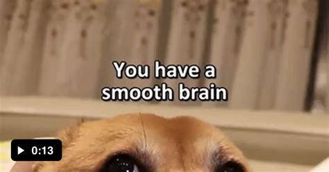 The Only Acceptable Type Of Smooth Brain 9GAG