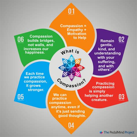 What Is Compassion And Why Is It Important The Pedalmind Project