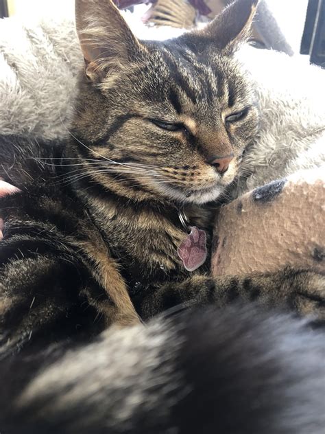 My Girl Zephy 12 Drools When Shes Happy Does This Mean Theres