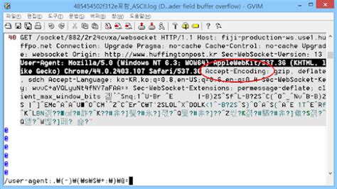 케세라세라 Snort 분석deleted Web Iis Header Field Buffer Overflow Attempt 5th