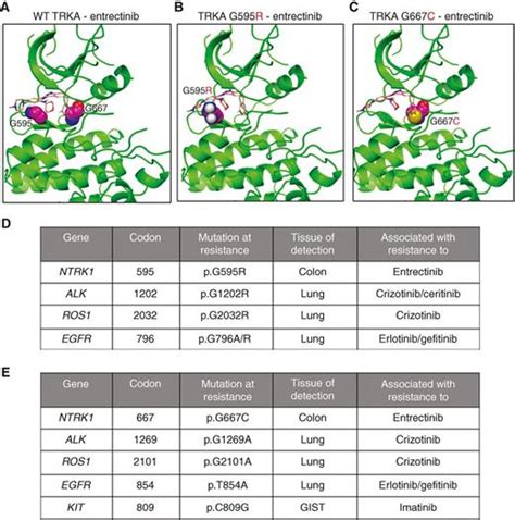 Acquired Resistance To The Trk Inhibitor Entrectinib In Colorectal