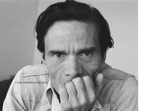 Pier Paolo Pasolini Portanova Bed And Breakfast