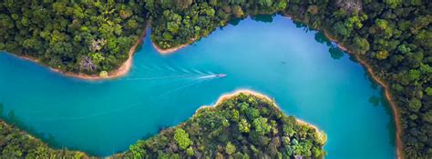 Unep Transition Check