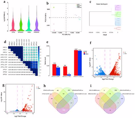 Comprehensive Analysis Of The Transcriptomic Profiles Of Monocultured