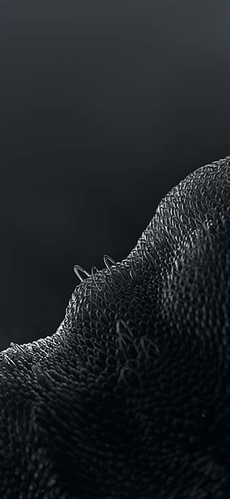 Skin Texture Wallpapers Wallpaper Cave