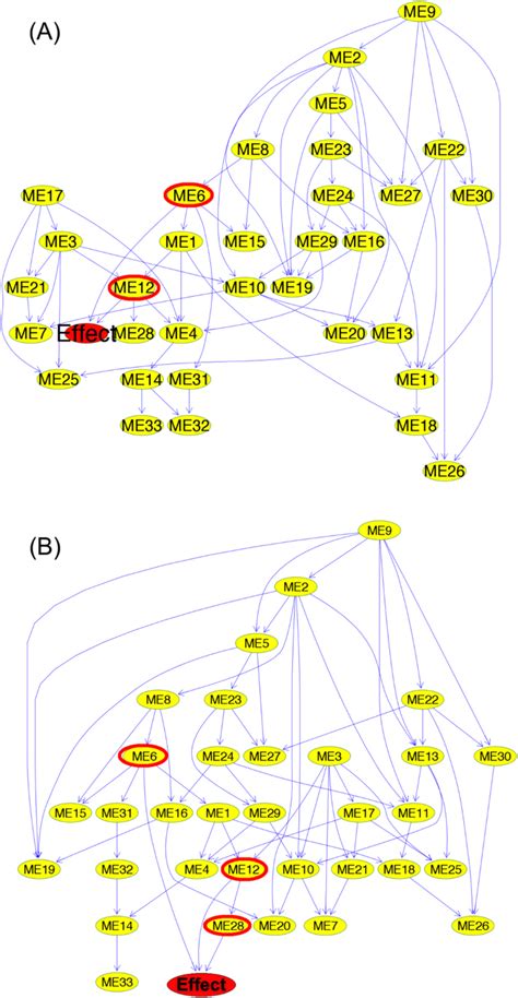 Applications Of Bayesian Network Models In Predicting Types Of Hematological Malignancies