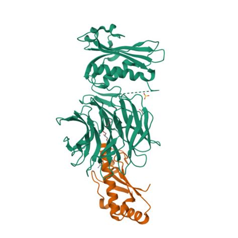 Rcsb Pdb 2hqs Crystal Structure Of Tolb Pal Complex