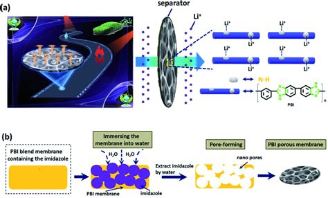 A Schematic Diagram Of The Interaction Between The Polar Functional Download Scientific