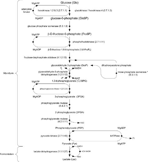 Figure 1 From Developing A Rate Equation Simulation Environment Using