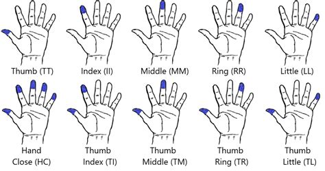 GitHub Mucahitfindik Classification Of Finger Movements Using EMG Signals