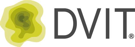 Startseite - DVIT - Deutscher Verband für Individualpädagogik ...