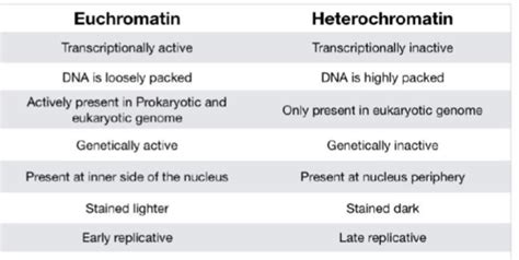 Chromatin Architecture Tutorial Karteikarten Quizlet