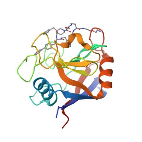 RCSB PDB 7TGV Structure Of Cyclophilin D Peptidyl Prolyl Isomerase