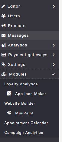 MiniPaint Module Zero Codes Docs
