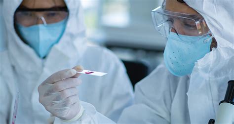 Rapid Identification Ifafri