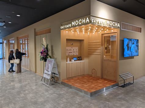 【岡山市北区】岡山初出店の猫カフェmocha（モカ）。イオンモール岡山の5階に2月17日オープンしました。 号外net 岡山市