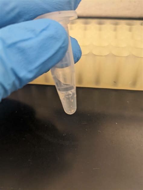 Questions With Answers In RNA Science Topic