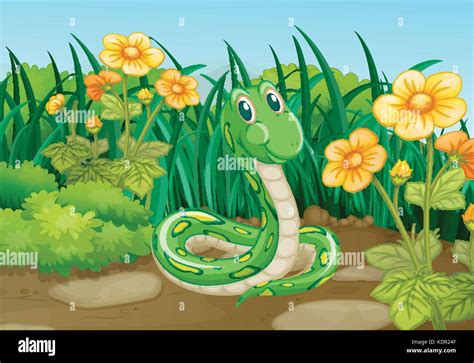 Green Snake In Garden Illustration Stock Vector Image And Art Alamy