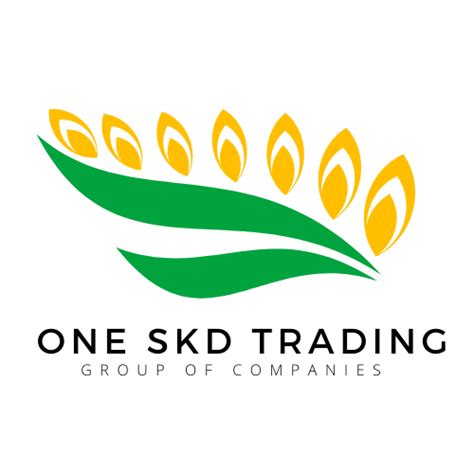 One Skd Group