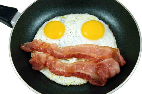 Grassi Saturi Ottimi Se Da Cibo Vero Evolutamenteit