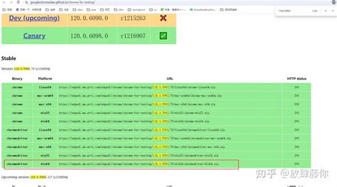 Chromedriver驱动的下载、安装 锦绣良缘 博客园