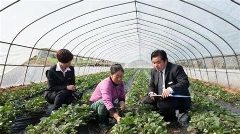 财经江苏凤凰网