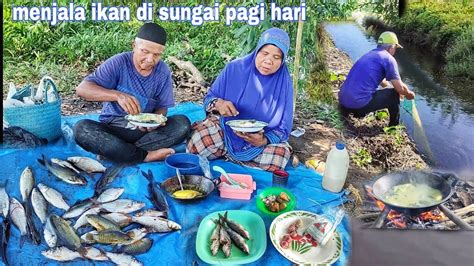 MENJALA IKAN DI SUNGAI DI PAGI HARI YANG CERAH YouTube
