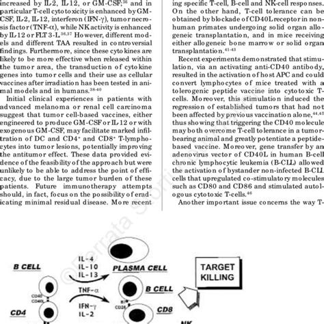 Principal Cytokines Involved In The Antitumor Immune Response