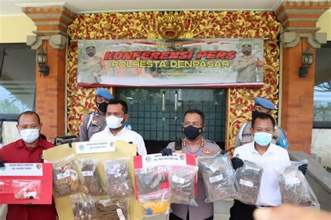 Sebulan Bekuk 30 Pelaku Narkoba Amankan 7 Kg Ganja Bali Tribune