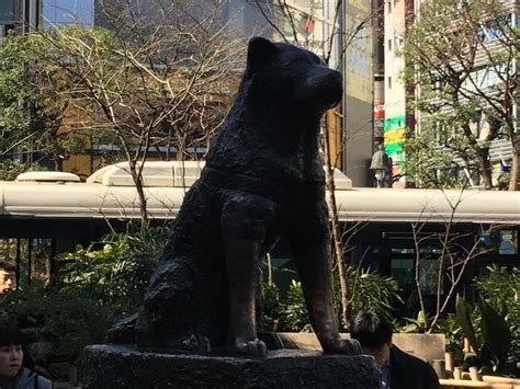 【忠犬ハチ公像】アクセス・営業時間・料金情報 じゃらんnet