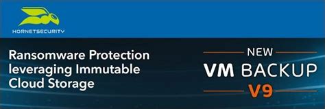 hornetsecurity vm backup v9 with immutable cloud storage nolabnoparty