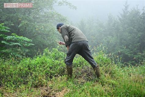 東出昌大、車内は獣の血が飛び散って家賃ゼロ・電波ナシ・ガス水道ナシの“山男”生活を語る「ここでの生活が居心地いい」【下半期スクープ】（4