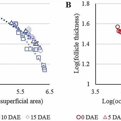 Correlation Between Basal Oocyte Surface Area Measurement And