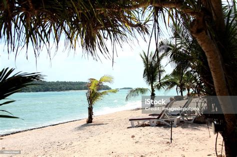 반짝이는 바다와 야자수가 있는 열대 섬 모래 해변의 신선함 0명에 대한 스톡 사진 및 기타 이미지 0명 경관 고요한 장면