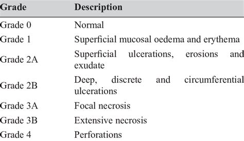 Endoscopic Classification Of Corrosive Injuries Zargar Et Al 12