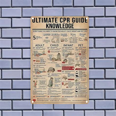 Ultimate Cpr Guide Knowledge Aluminum Metal Sign Funny Temu