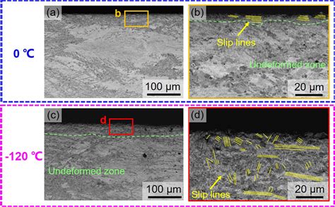 Characterization For The Cross Sectional Worn Subsurface Of Cocrni Mea