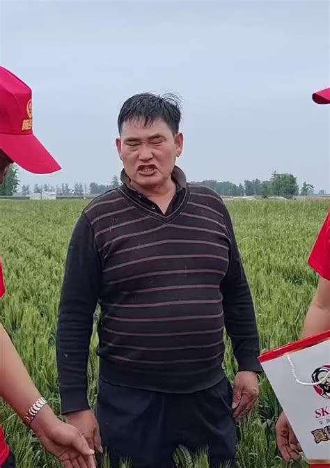 真相傳媒 On Twitter 大衣哥 今年在习近平的指导下，他的麦子一亩地能产1600多斤（麦子还没收）未卜先知。去年和以前只能产