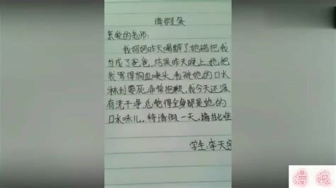 现在小学生的请假条老师看了相当无语 高清1080P在线观看平台 腾讯视频