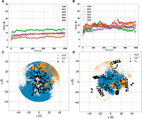 Frontiers Electrophysiological Properties And Structural Prediction