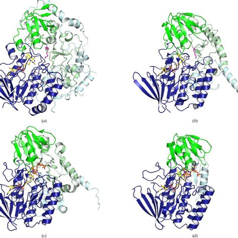 PDF Structural Basis Of Regioselective Tryptophan Dibromination By