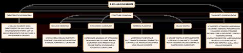 Struttura E Funzioni Delle Cellule Procariote Ed Eucariote Algor Cards